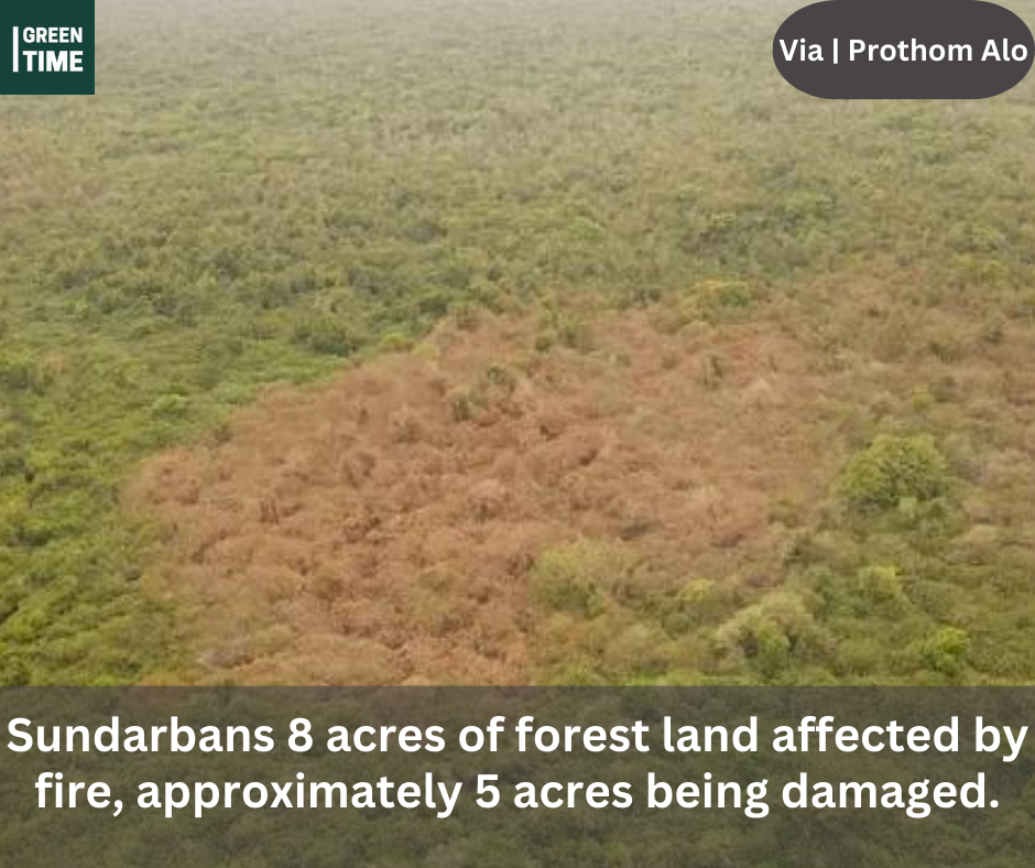 Sundarbans 8 acres of forest land affected by fire, approximately 5 ...