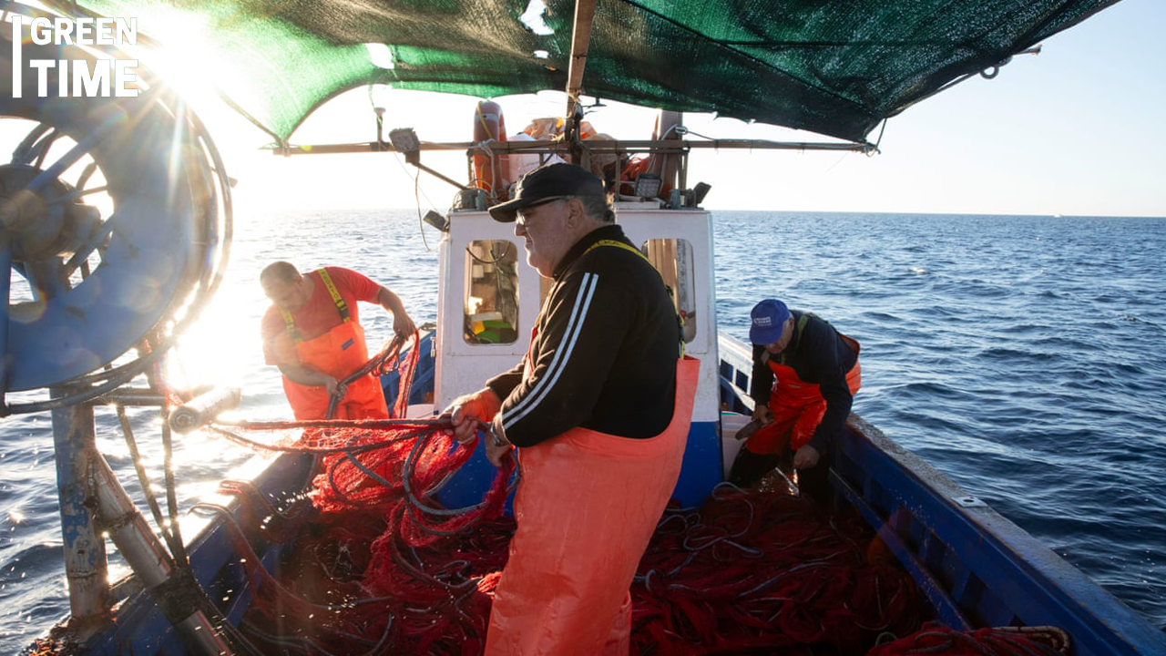 Embracing the Invader: Sicilian Restaurant Turns Blue Crab Invasion ...